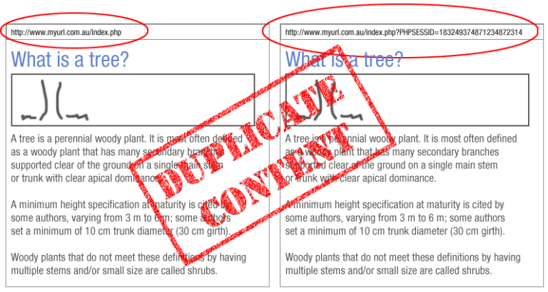 The Complete Guide on Structuring Your URLs Correctly
