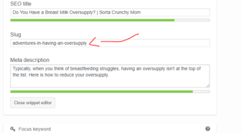 How to Setup Yoast SEO for WordPress Correctly