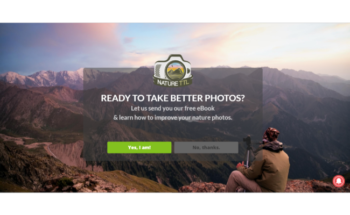 5 Pop-up Ad Strategies That Actually Work