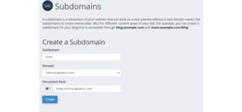 What is a Subdomain and How Does it Affect Your Site's SEO?