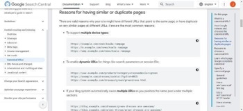What Are Canonical Tags? A Beginner Friendly Guide