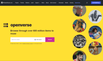 37 Search Engines to Use Other Than Google - Neil Patel
