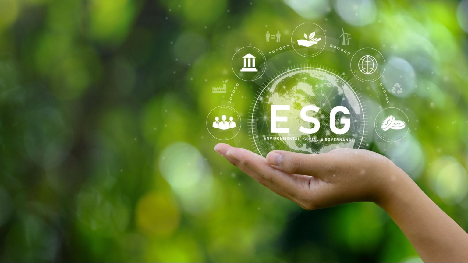 ESG: o que é, princípios e benefícios