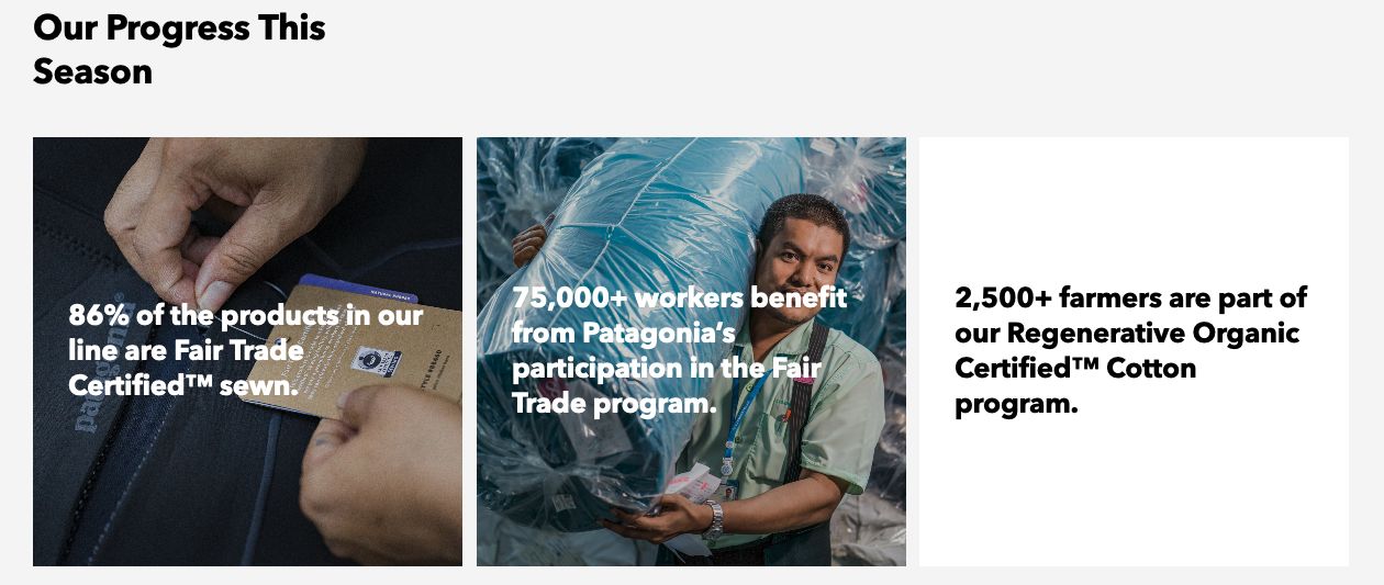 Everything You Need to Know About B2C Marketing [Guide]