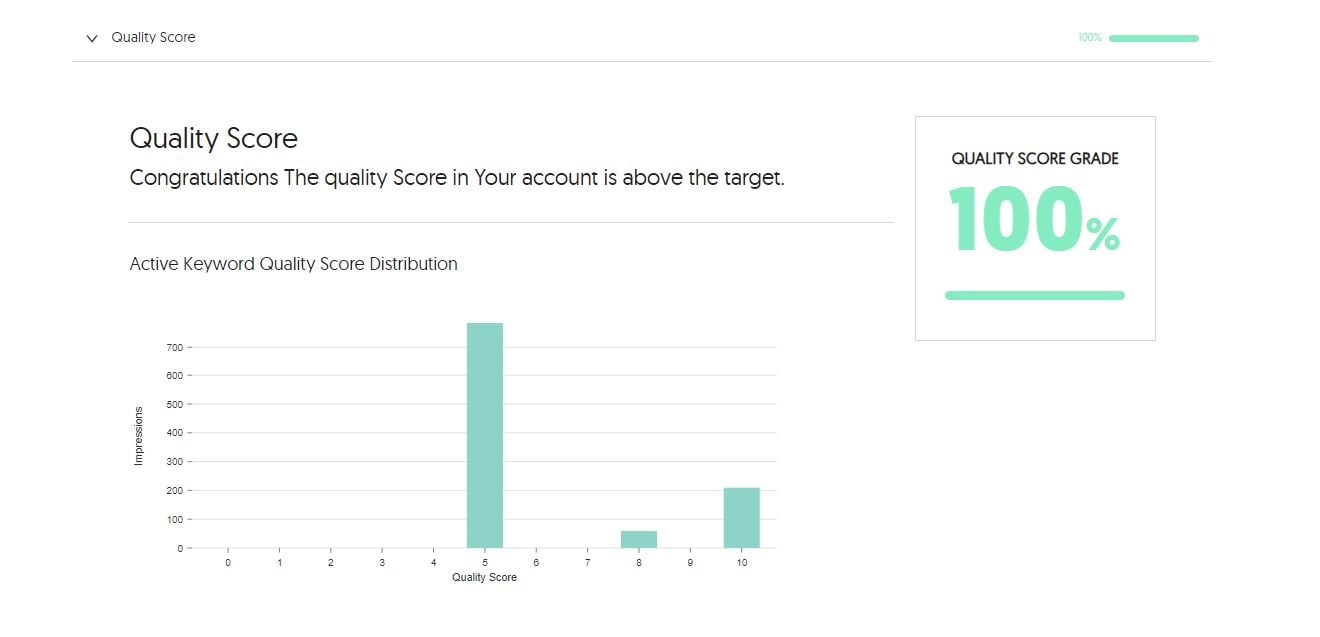 How to Use the Neil Patel Google Ads Performance Grader