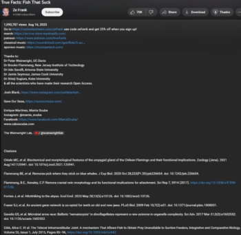 How To Do a Reverse Video Search and Why It's Useful [Guide]