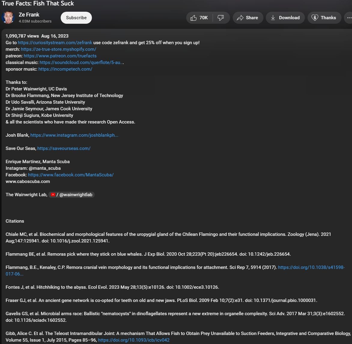 How To Do a Reverse Video Search and Why It's Useful [Guide]