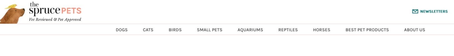 SEO Siloing: A Comprehensive Guide to Siloing in SEO
