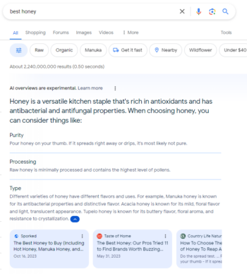 What is SGE and How to Adapt Your SEO Strategy